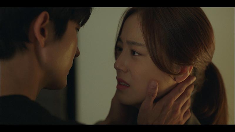 第21話 別れのキス | 韓国ドラマ「悪の花」 | BS無料放送ならBS12（トゥエルビ）