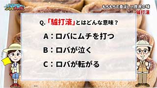 第41回 | 中国発！最旬おでかけ情報 ふらっとチャイ旅 | 旅・グルメ番組 | BS無料放送ならBS12（トゥエルビ）