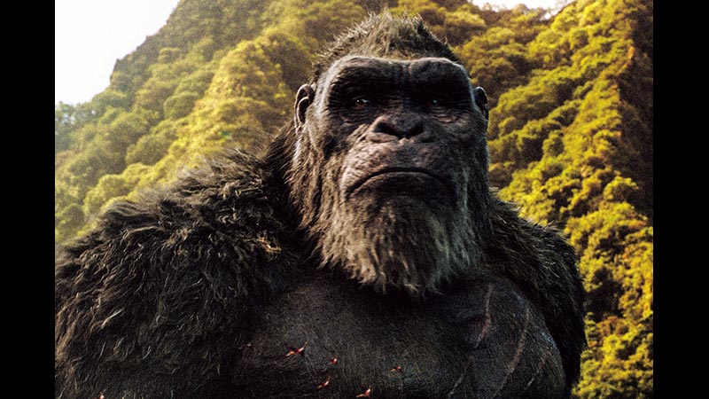 日曜ゴジラ劇場～ゴジラ70周年～ | 無料ドラマ・映画 | BS無料放送ならBS12（トゥエルビ）