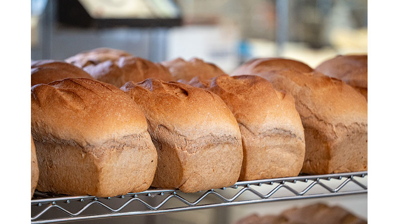 #138「ゲスト高橋みなみと行く！ハワイ ベーカリー特集」 | ハワイに恋して！ | 旅・グルメ番組 | BS無料放送ならBS12（トゥエルビ）