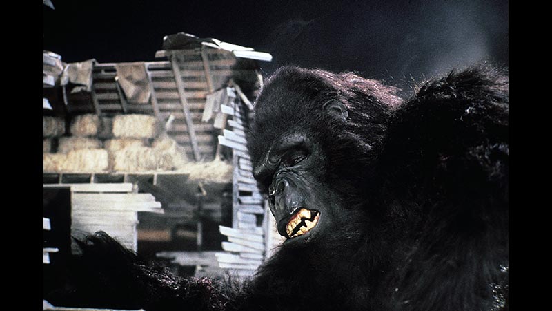 キングコング 2 | 日曜シネマ劇場 | 無料ドラマ・映画 | BS無料放送ならBS12（トゥエルビ）
