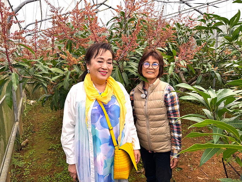 #22 渡辺えり・松村雄基・さとう珠緒編（30分版） | 記憶のロケ地を巡る旅 | 旅・グルメ番組 | BS無料放送ならBS12（トゥエルビ）