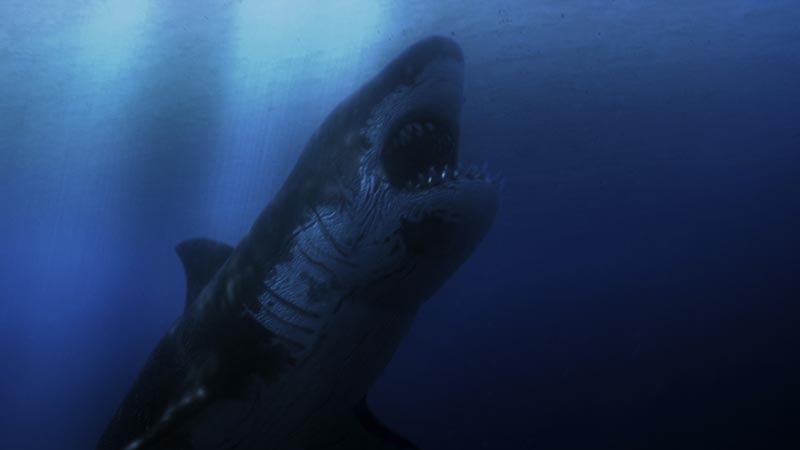 GW特集 ゴールデン・サメ劇場2025 | 無料ドラマ・映画 | BS無料放送ならBS12（トゥエルビ）