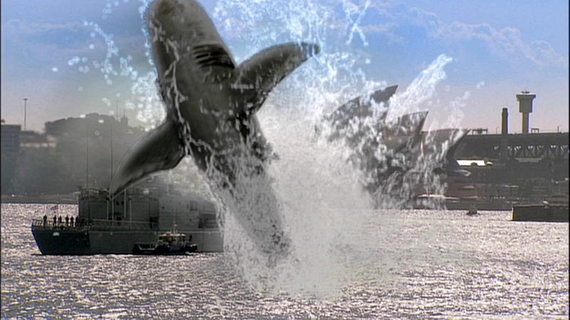 GW特集 ゴールデン・サメ劇場2025 | 無料ドラマ・映画 | BS無料放送ならBS12（トゥエルビ）