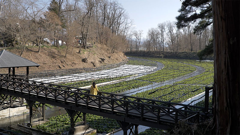～自然と幸せに包まれて 信州・安曇野 後編～ | NEXT TRIP | 旅・グルメ番組 | BS無料放送ならBS12（トゥエルビ）