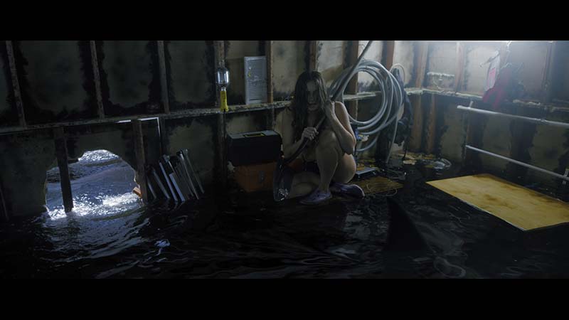 シン・ゴールデンサメ劇場 | 無料ドラマ・映画 | BS無料放送ならBS12（トゥエルビ）