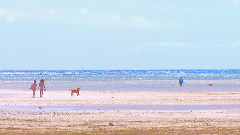 #136「ゲスト高橋みなみをおもてなし！ドライブで行く、映えスポット巡り！」 | ハワイに恋して！ | 旅・グルメ番組 | BS無料放送ならBS12（トゥエルビ）
