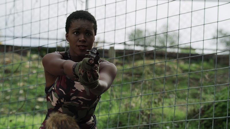 GW特集 ゾンビ映画 | 無料ドラマ・映画 | BS無料放送ならBS12（トゥエルビ）